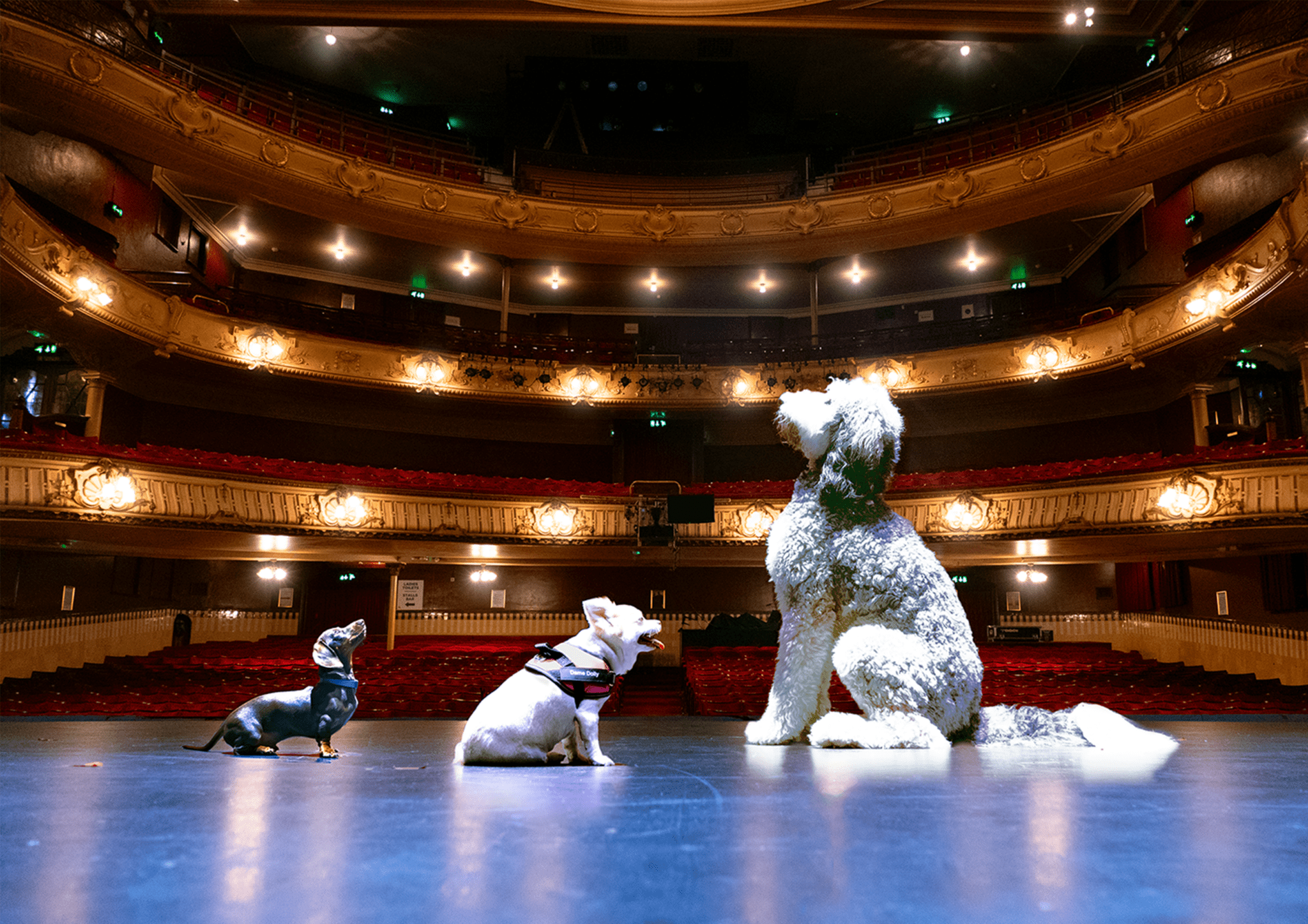 The Portsmouth Players "Search for a Dog" Auditions - Kings Theatre ...
